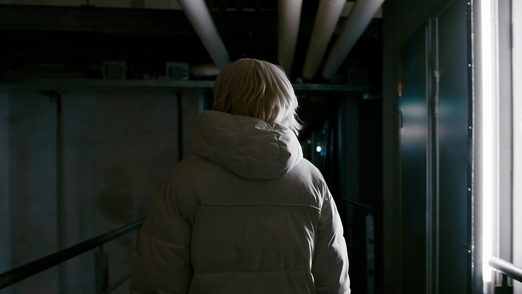 Works – Shaun Motsi